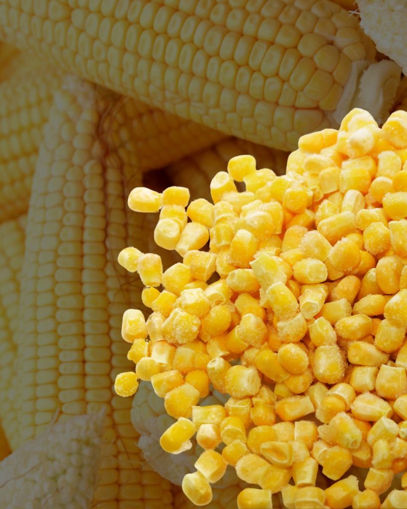 Frozen Sweet Corn - Gloria Frozen Food